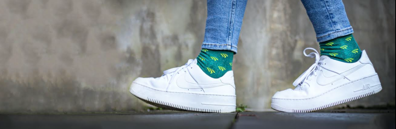 Timmerman Renovatie Noord Nederland