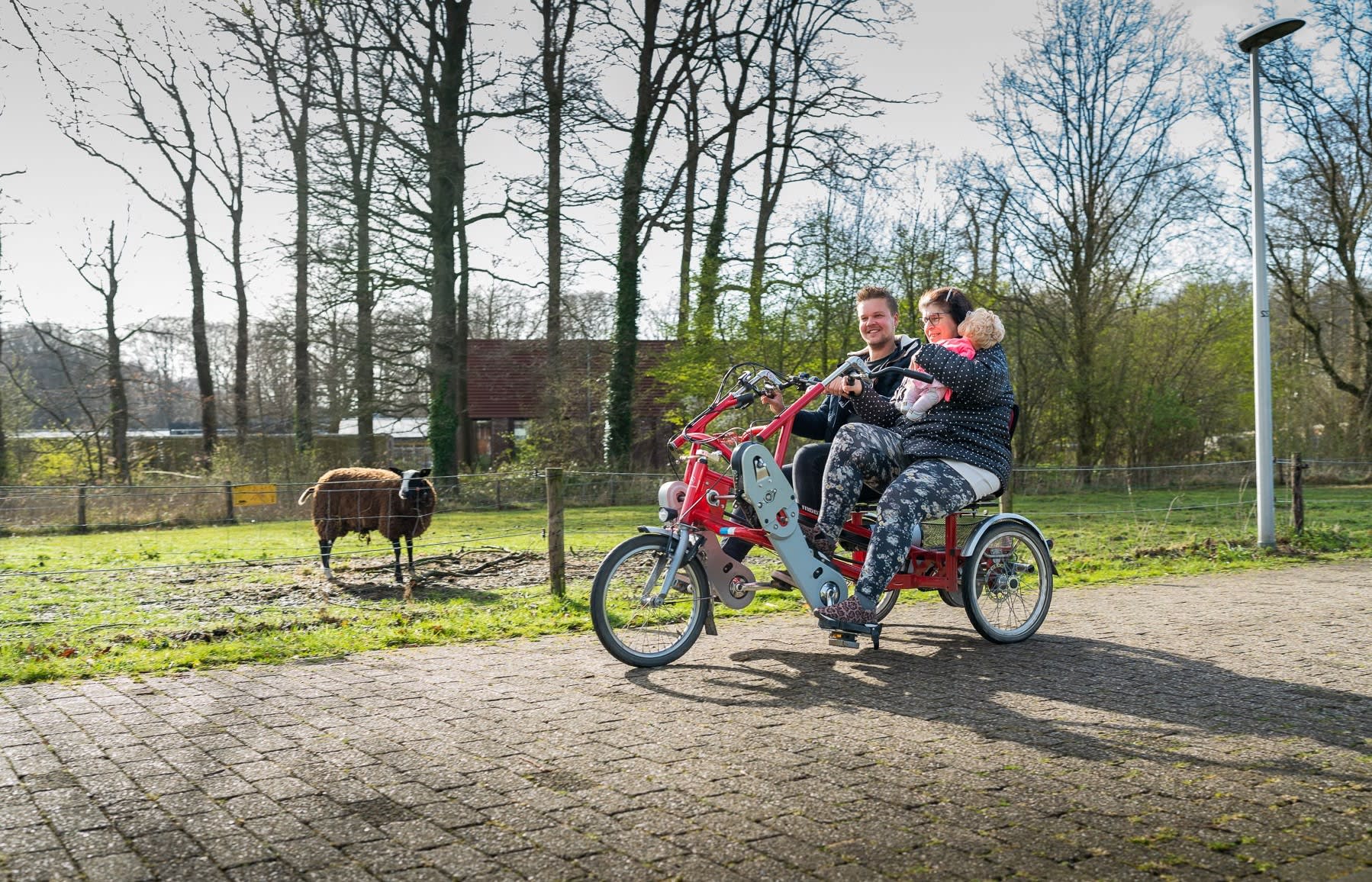 Alles over werken bij Zozijn