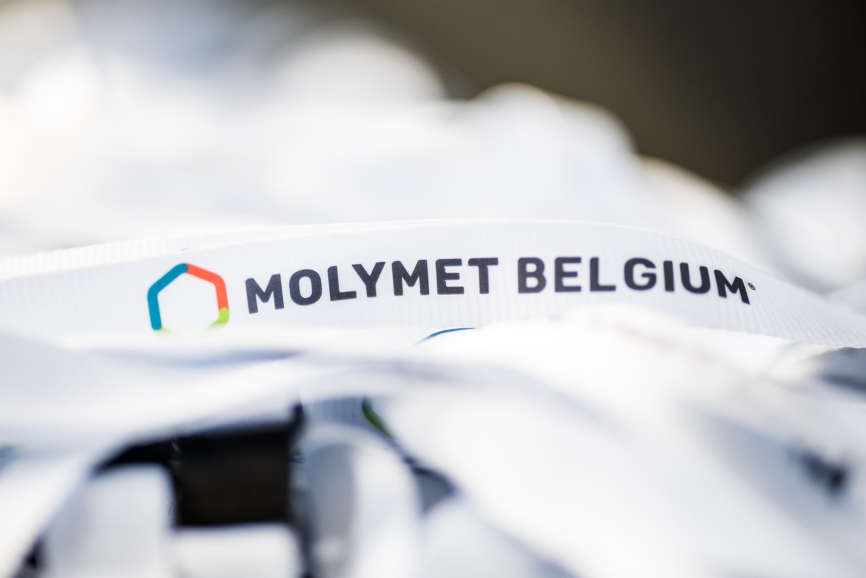 Logotipo De Molymet