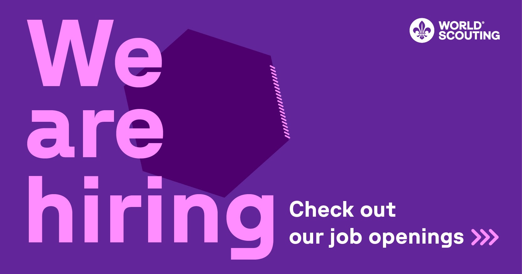 World Scouting Careers